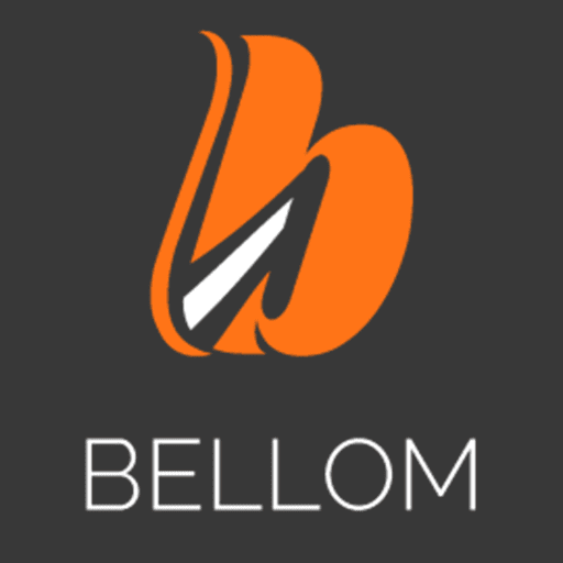 Startup Seattle Stories: Bellom - Bottom Line