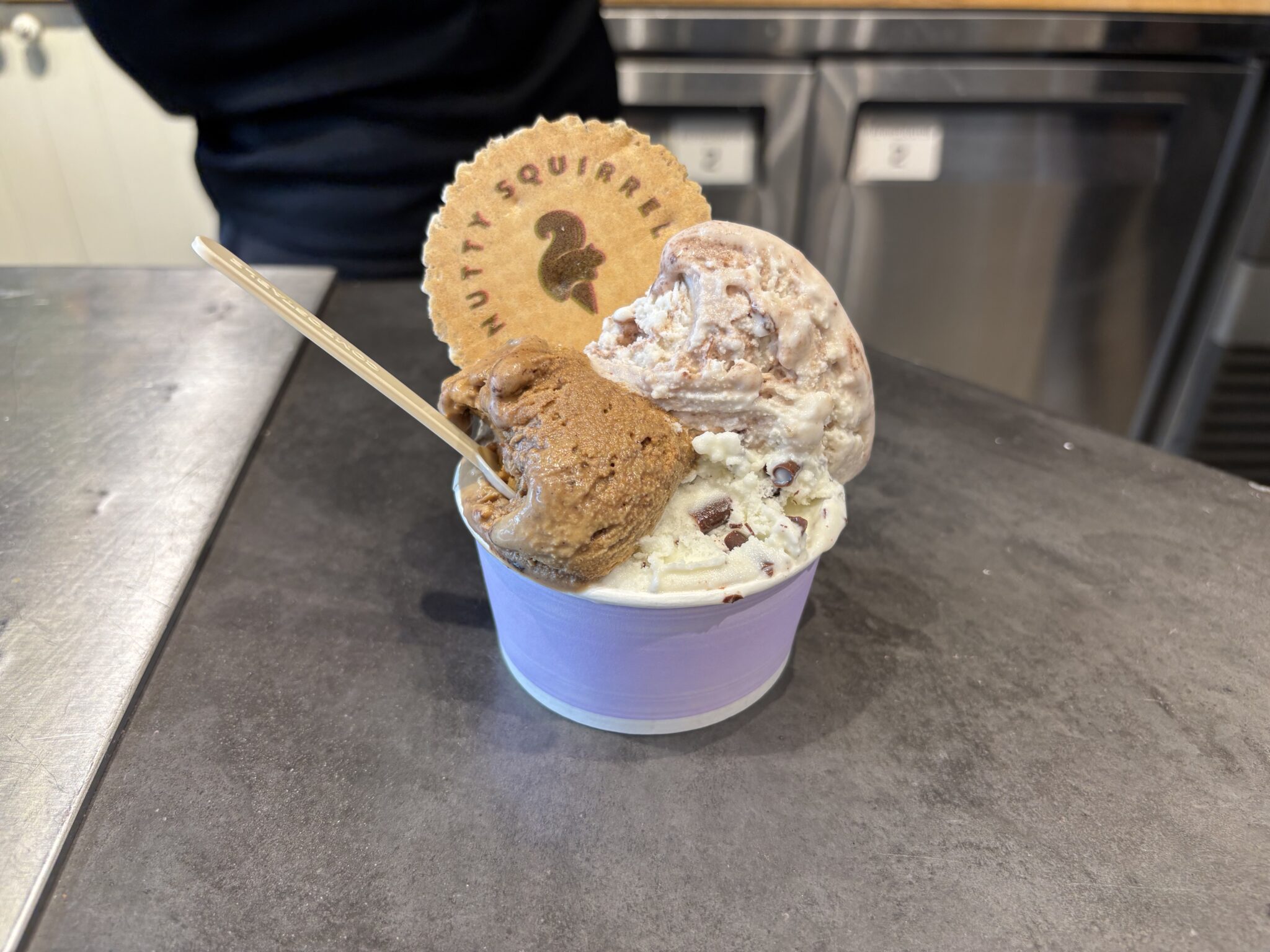 Nutty Squirrel Gelato used Back to Business grant to keep scooping ...